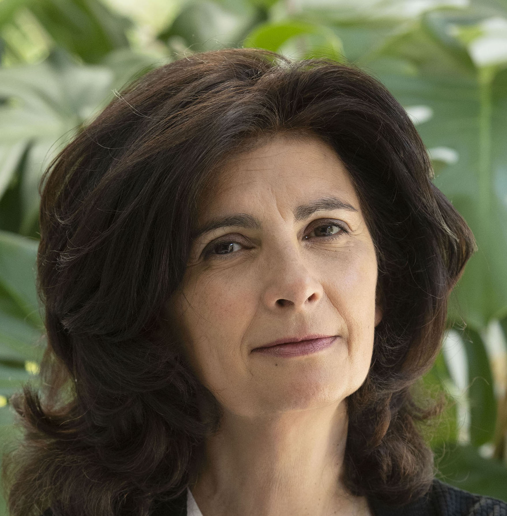 Blog de Predictice | Stéphanie Stein